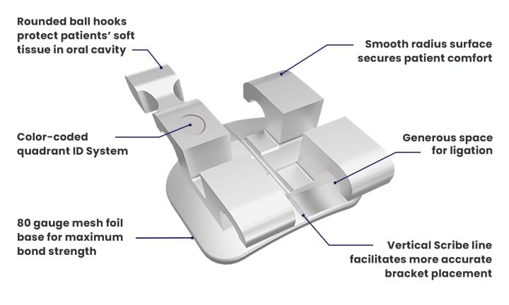 Mini Twin Two-Piece Stainless Steel Brackets Standard Edgewise Rx 5-5 ...
